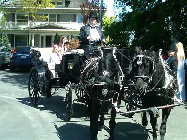 Maplehurst Farm - Mount Vernon, WA - Wedding Venue
