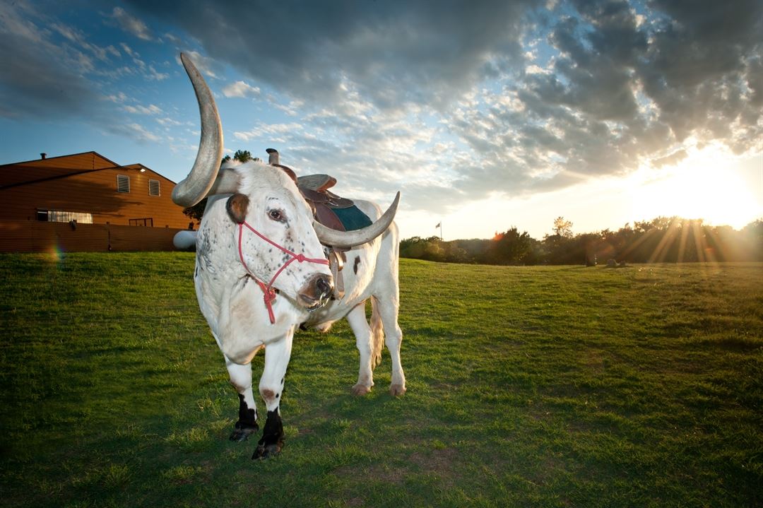 Circle R Ranch - Flower Mound, TX - Meeting Venue