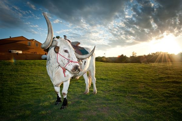 Circle R Ranch - Flower Mound, TX - Meeting Venue