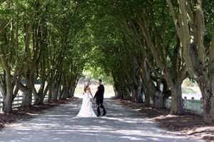 Maplehurst Farm - Mount Vernon, WA - Wedding Venue