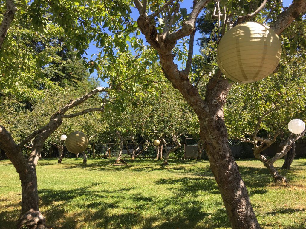 Mitchell Grove - Eureka, CA - Wedding Venue