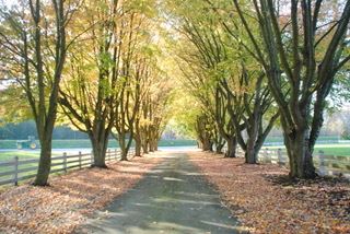 Maplehurst Farm - Mount Vernon, WA - Wedding Venue