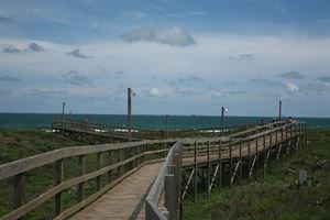 Port Royal Ocean Resort - Port Aransas, TX - Party Venue