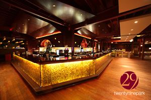 29 Novi - Novi, MI - Party Venue