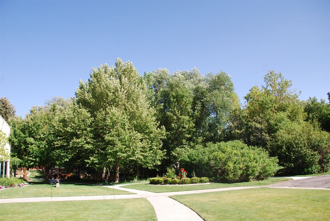 Alpine Art Center - Alpine, UT - Wedding Venue