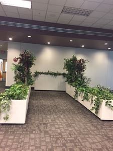 Southeast Regional Library- Town of Gilbert - Gilbert, AZ - Wedding Venue