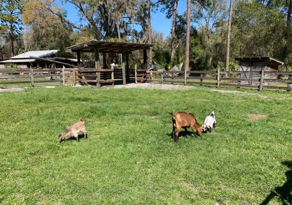 Crowley Museum and Nature Center - Sarasota, FL - Meeting Venue