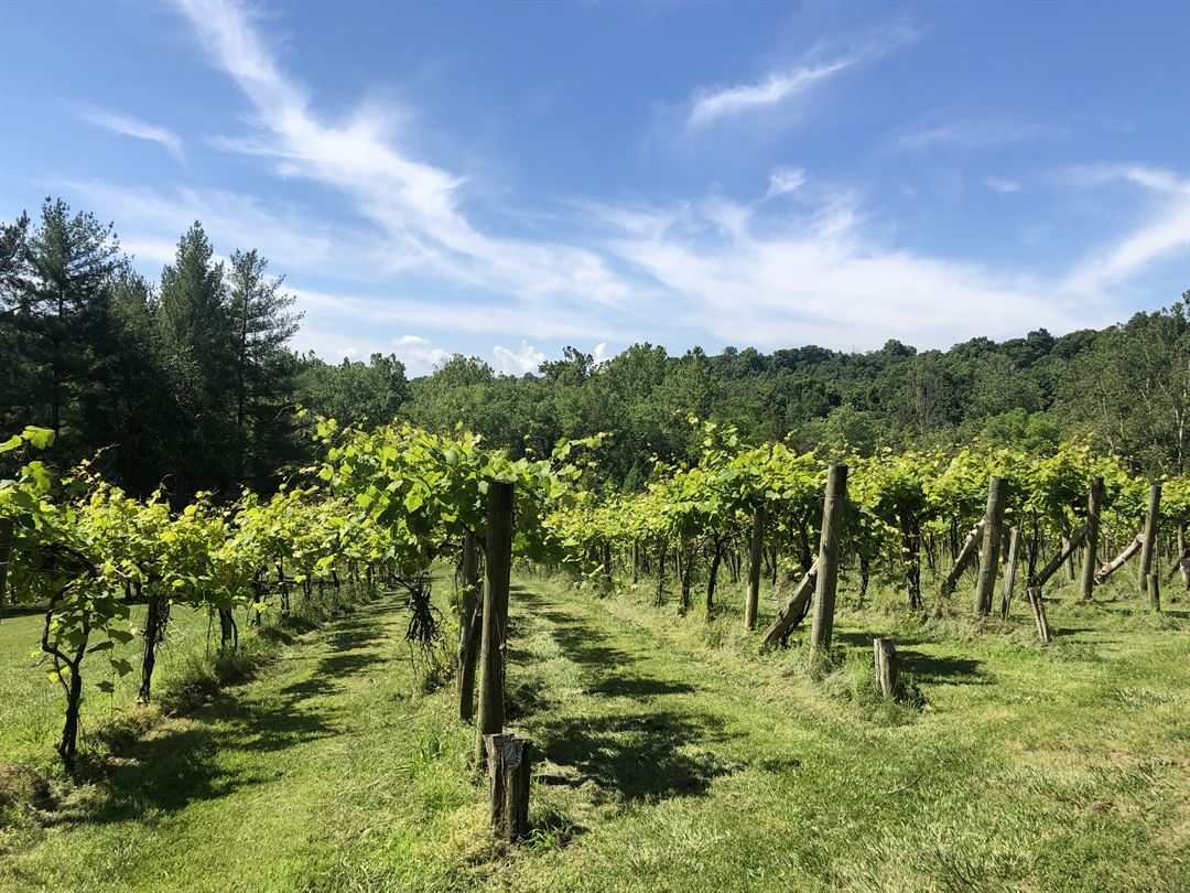 The Wedding Barn at Black Jack Vineyard - Makanda, IL - Wedding Venue