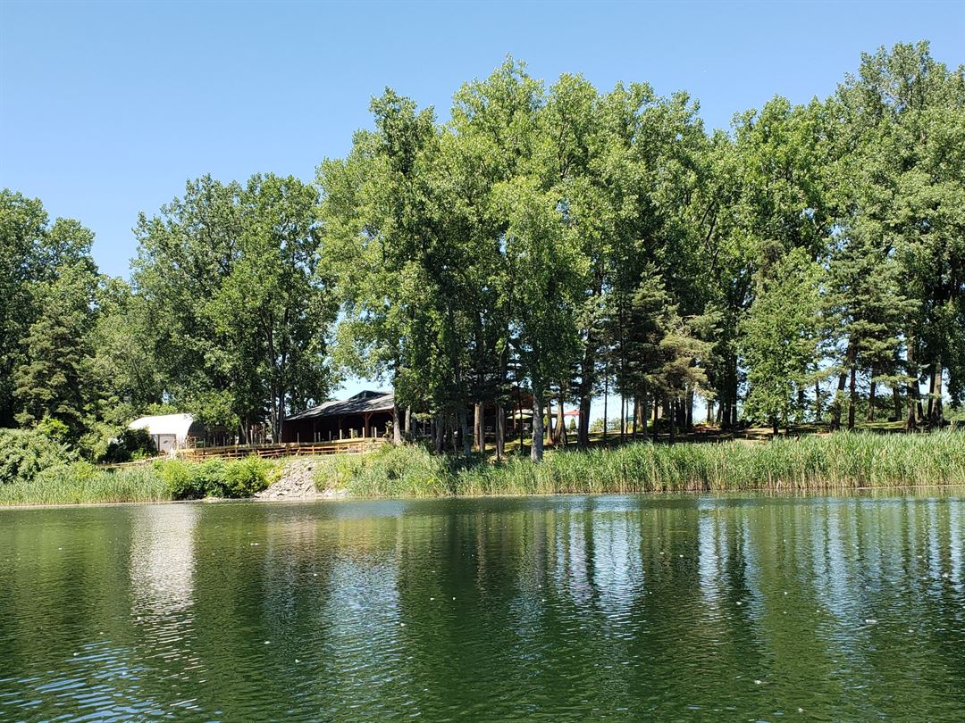 Spring Lake Winery - Lockport, NY - Wedding Venue