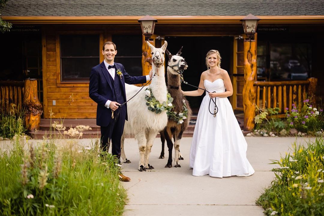 Wild Basin Lodge - Allenspark, CO - Wedding Venue