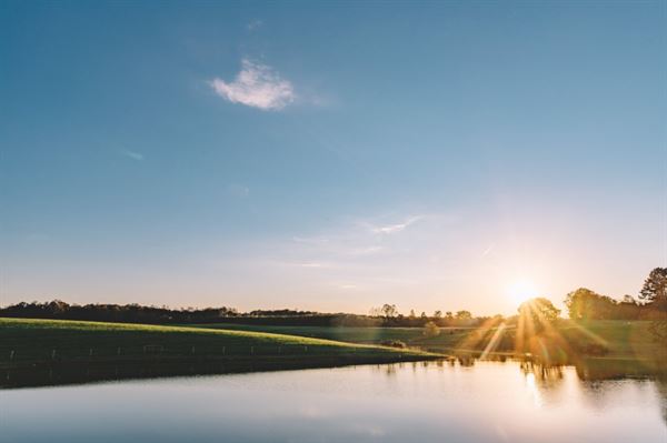 Spring Grove Events - Appomattox, VA - Wedding Venue