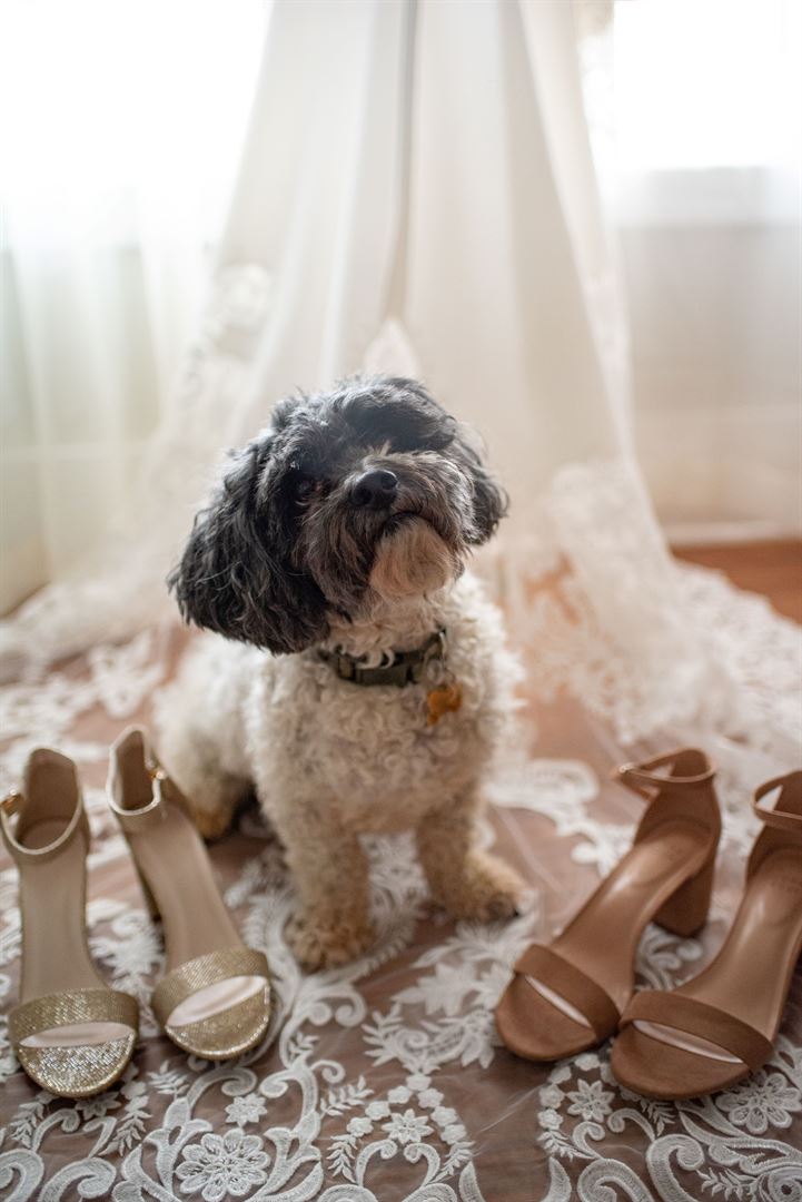 Rock Spring Mountain Farm - Faber, VA - Wedding Venue
