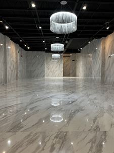 DLR Luxury Suite - Philadelphia, PA - Party Venue