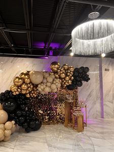 DLR Luxury Suite - Philadelphia, PA - Party Venue