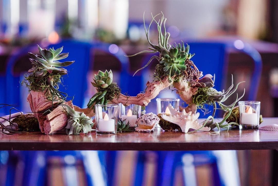 Surf Sports Park - Del Mar, CA - Party Venue