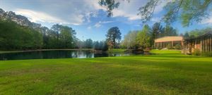 M Garden - Columbia, SC - Wedding Venue