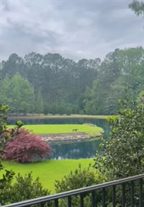 M Garden - Columbia, SC - Wedding Venue