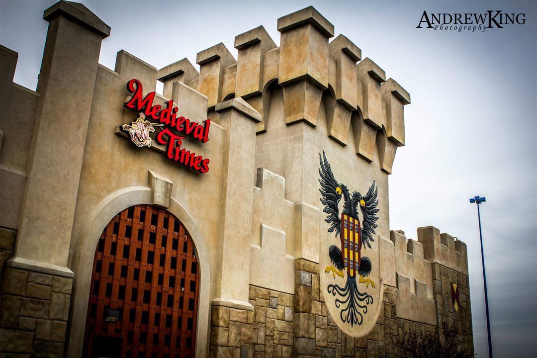 Medieval Times Dinner & Tournament - Hanover, MD - Party Venue