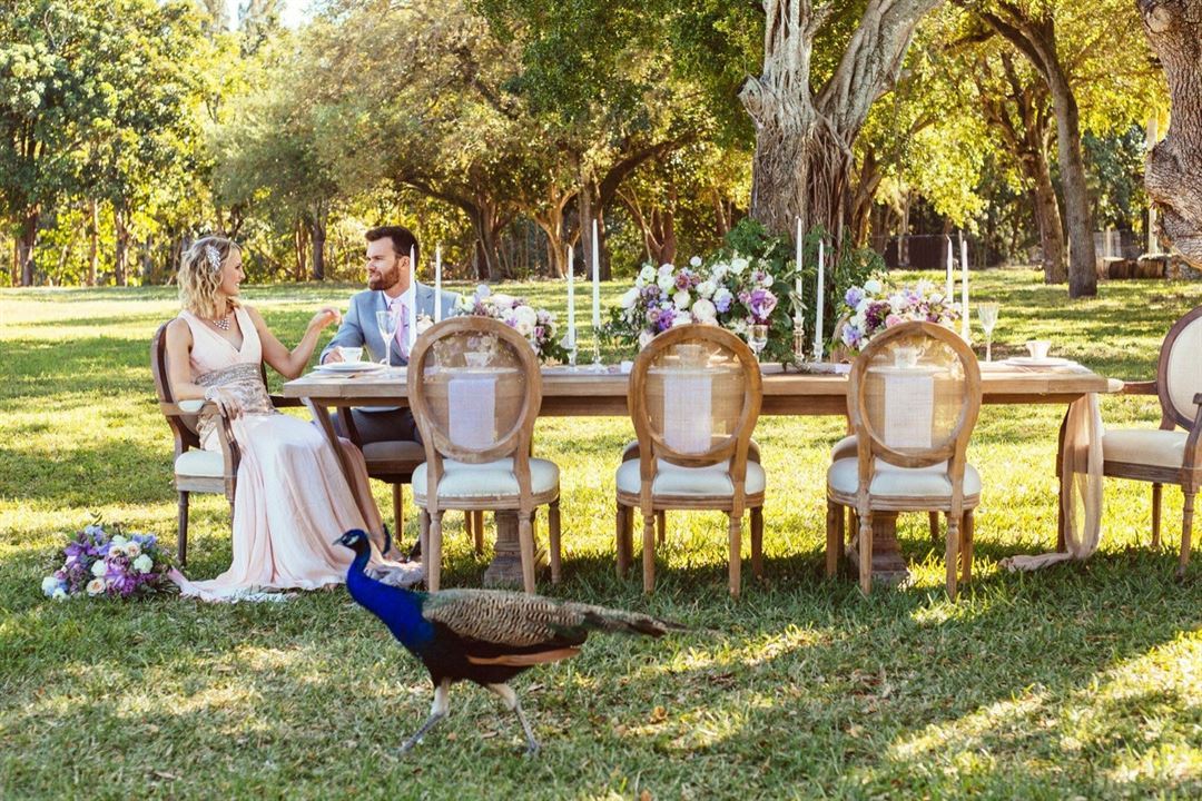 Davie Ranch - Davie, FL - Wedding Venue