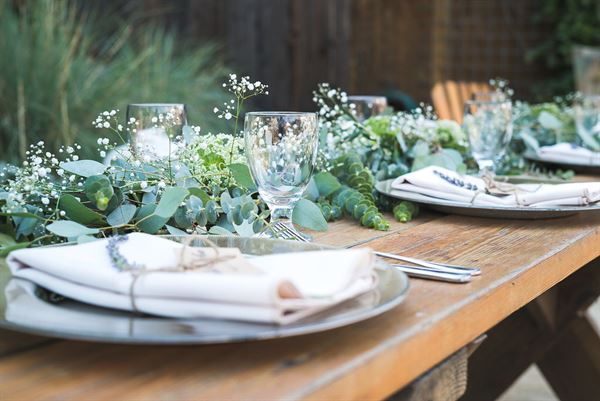 Hopmonk Tavern - Novato - Novato, CA - Party Venue