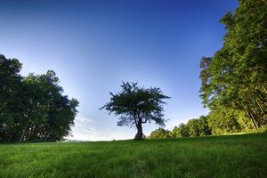 Caboose Farm - Sabillasville, MD - Wedding Venue