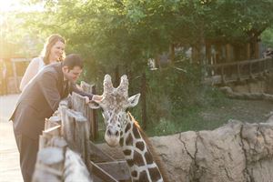 Dallas Zoo - Dallas, TX - Wedding Venue