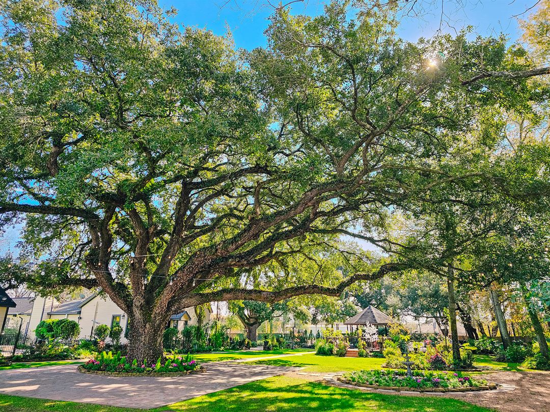 Oak Tree Manor Weddings - Spring, TX - Wedding Venue