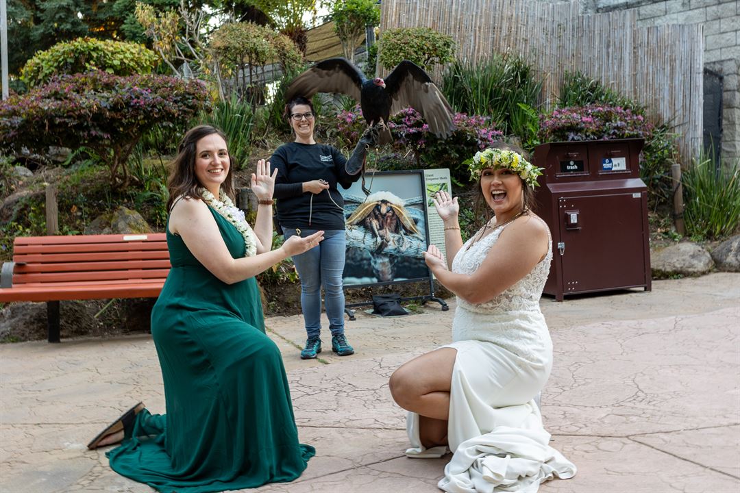 CuriOdyssey - San Mateo, CA - Meeting Venue