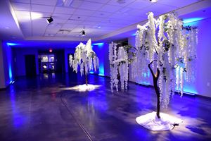 The Jones Center - Springdale, AR - Party Venue