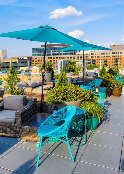 Botanical Lounge & Rooftop - Raleigh, NC - Party Venue