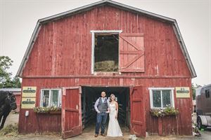 Lester's Farm Chalet - Kilbride, NL - Party Venue