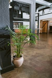 Hideaway Cellars - Seattle, WA - Wedding Venue