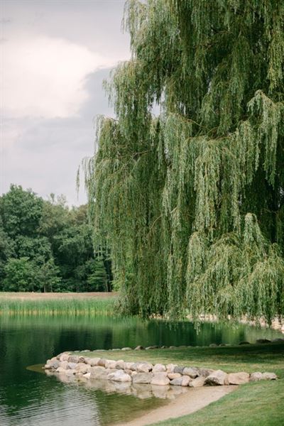 Westers Family Winery/formerly known as Black Barn - Rives Junction, MI ...