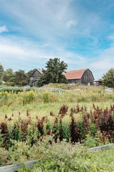 Strathmere - North Gower, ON - Wedding Venue