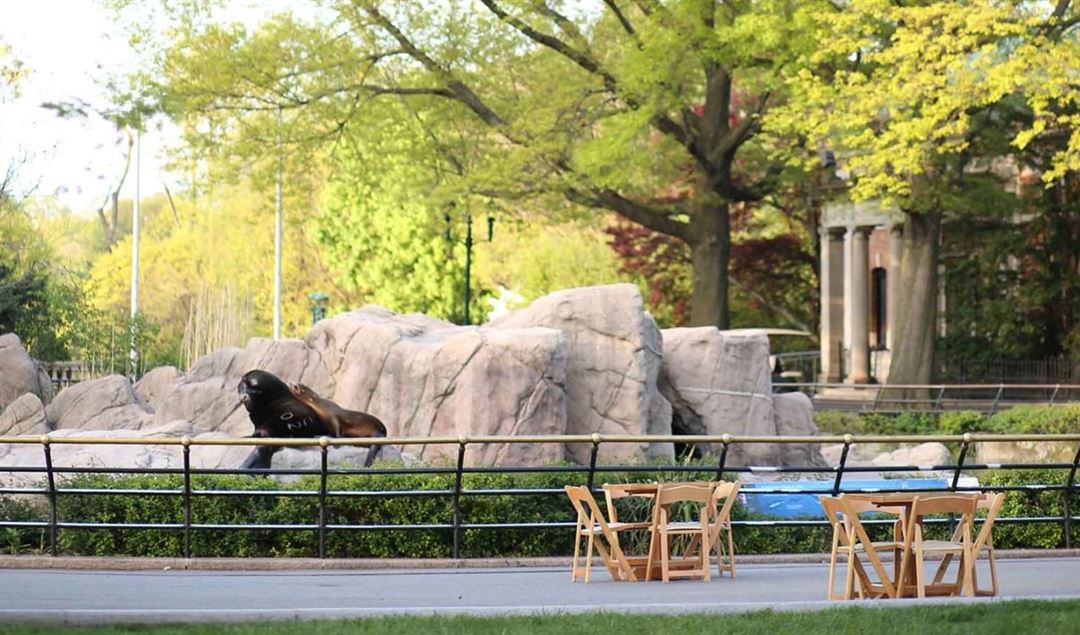 Bronx Zoo - Bronx, NY - Party Venue