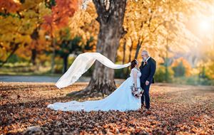TOYOTA EVENT CENTER Gibson County Fairgrounds - Princeton, IN - Wedding ...