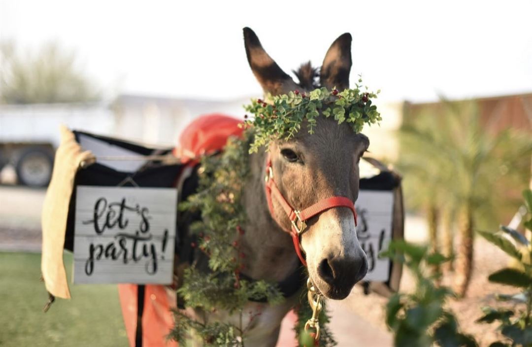 Rustler's Rooste - Phoenix, AZ - Party Venue