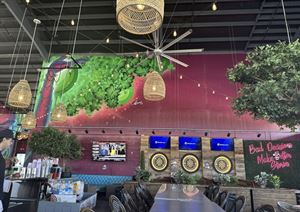 Backyard Social - Fort Myers, FL - Party Venue