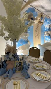 The Rose Court Ballroom - Tampa, FL - Party Venue