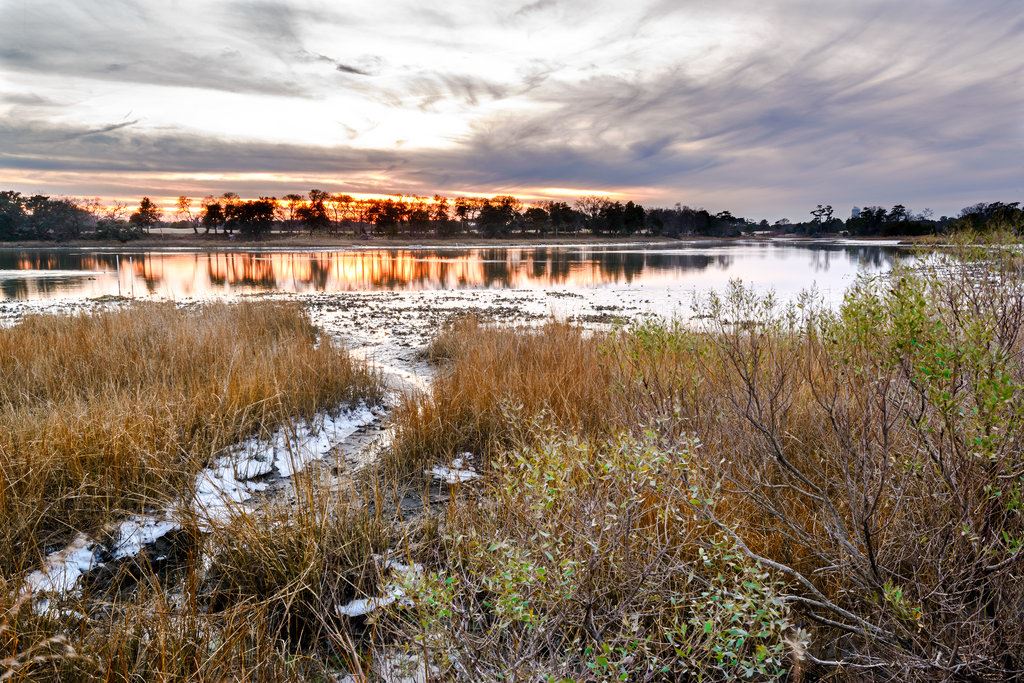 Bay Tree Manor B&B Wedding Venue - Seaford, VA - Wedding Venue