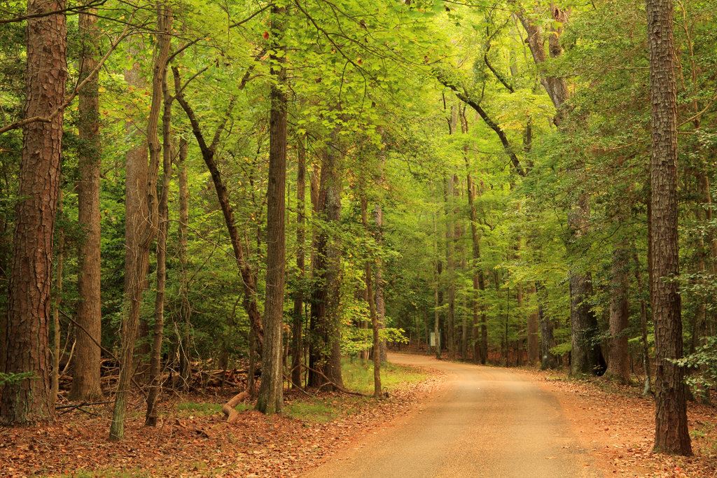 Bay Tree Manor B&B Wedding Venue - Seaford, VA - Wedding Venue