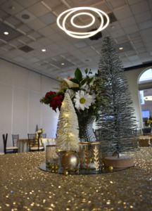 Charles Mack Citizen Center - Mooresville, NC - Party Venue