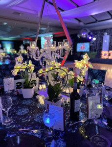 Charles Mack Citizen Center - Mooresville, NC - Party Venue