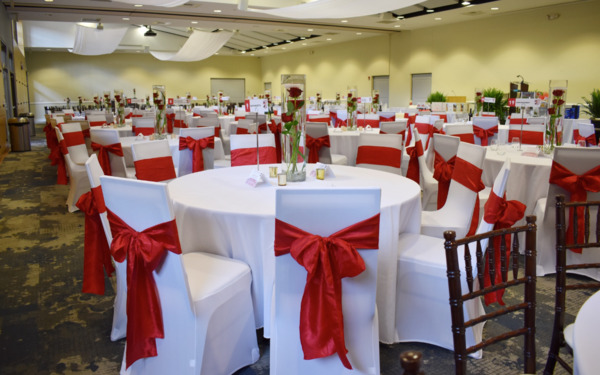 Charles Mack Citizen Center - Mooresville, NC - Party Venue