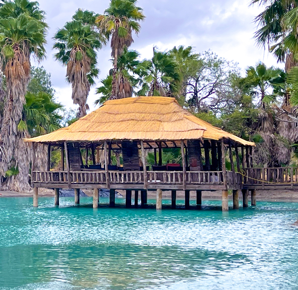 Rancho El Charco - La Joya, TX - Wedding Venue