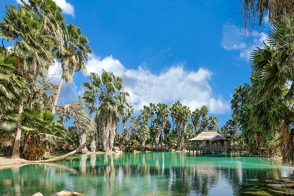 Rancho El Charco - La Joya, TX - Wedding Venue