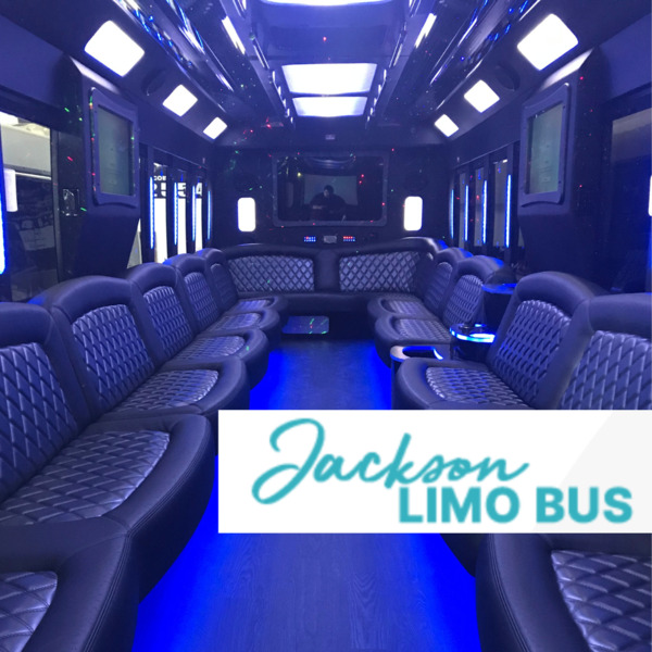 Jackson Limo Bus - Jackson, MI - Limousine