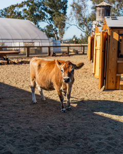 Fox Point Farms - Encinitas, CA - Party Venue