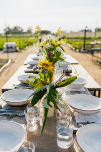 Fox Point Farms - Encinitas, CA - Party Venue