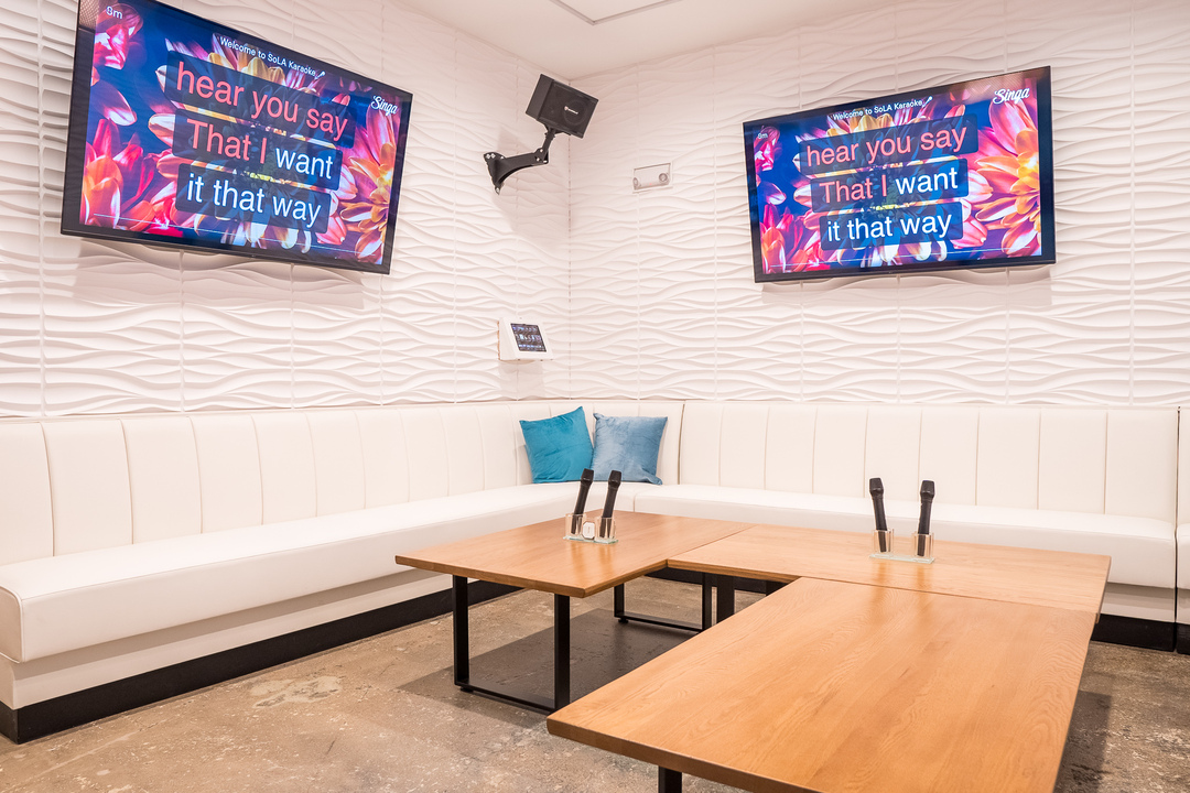 SoLA Karaoke - Southington, CT - Party Venue
